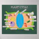 Plant Cells *UPDATED* Poster | Zazzle