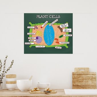 Plant Cells *UPDATED* Poster | Zazzle
