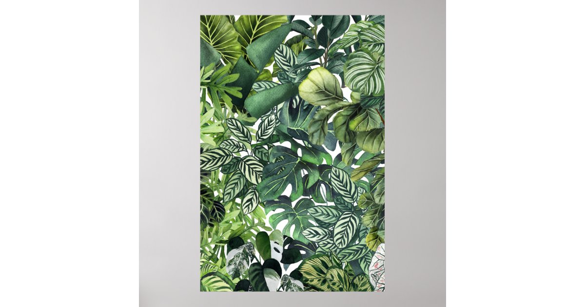 Plant leaves poster | Zazzle
