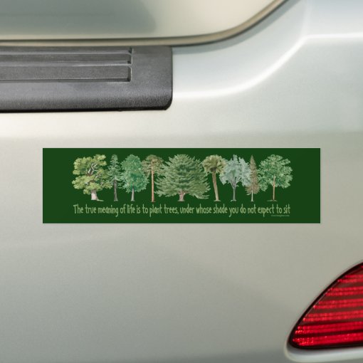 Plant Trees - Tree Lover, Hugger Bumper Sticker | Zazzle