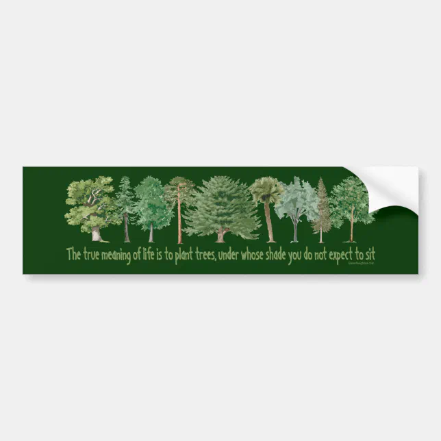 Plant Trees - Tree Lover, Hugger Bumper Sticker | Zazzle
