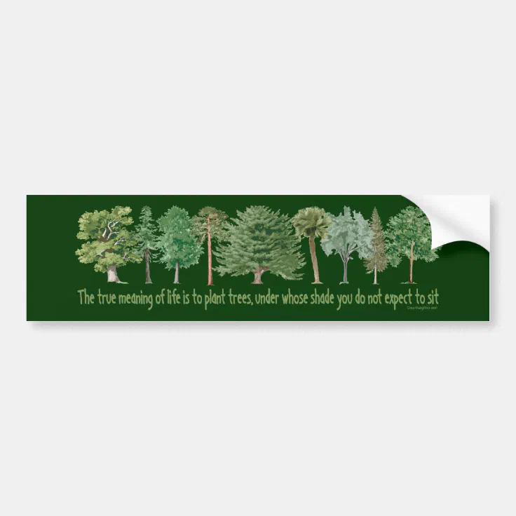 Plant Trees - Tree Lover, Hugger Bumper Sticker | Zazzle