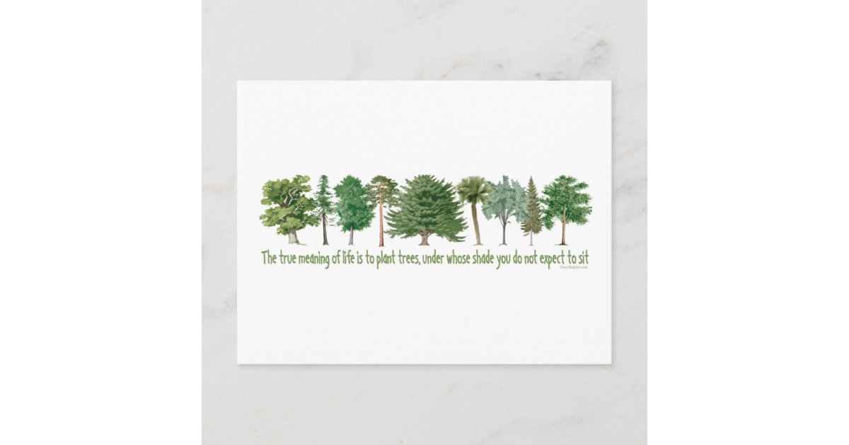 Plant Trees - Tree Lover, Hugger Postcard | Zazzle