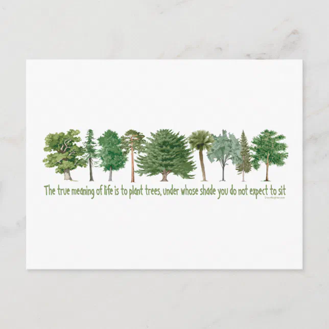Plant Trees Tree Lover Hugger Postcard Zazzle