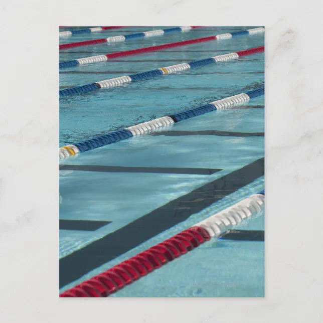 Plastic separators in a swimming pool creating postcard | Zazzle