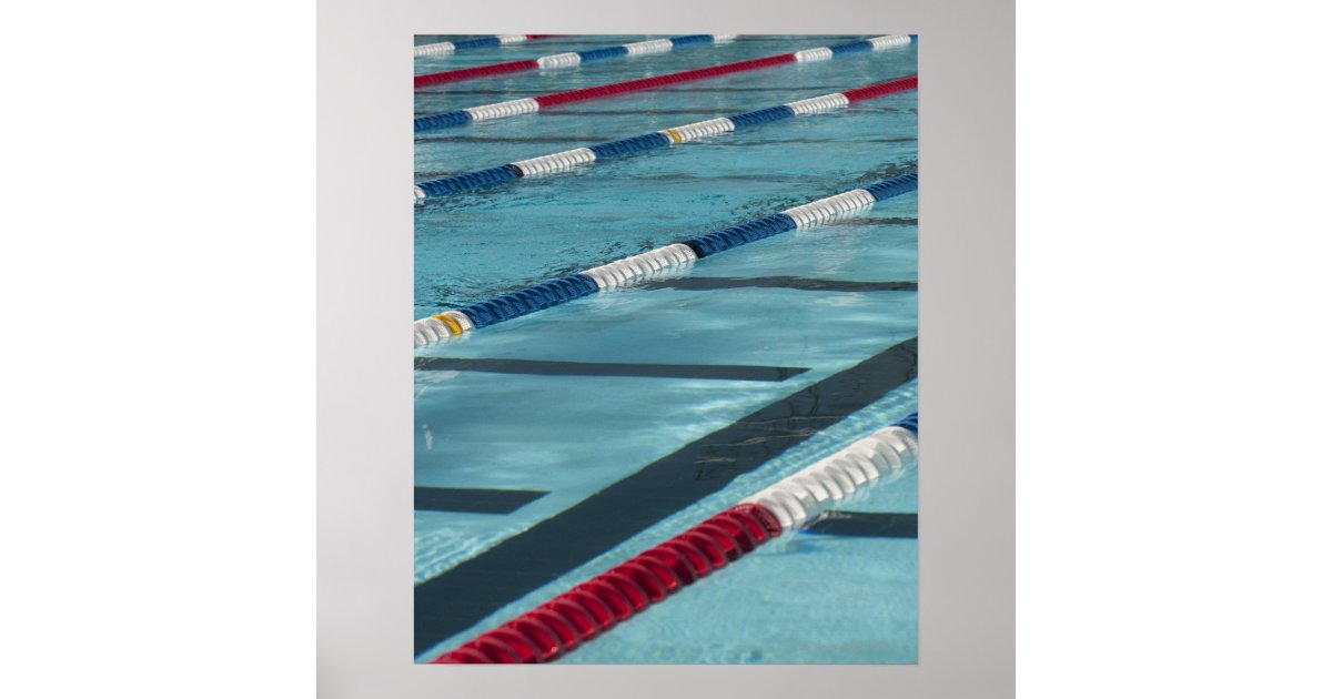 Plastic separators in a swimming pool creating poster | Zazzle