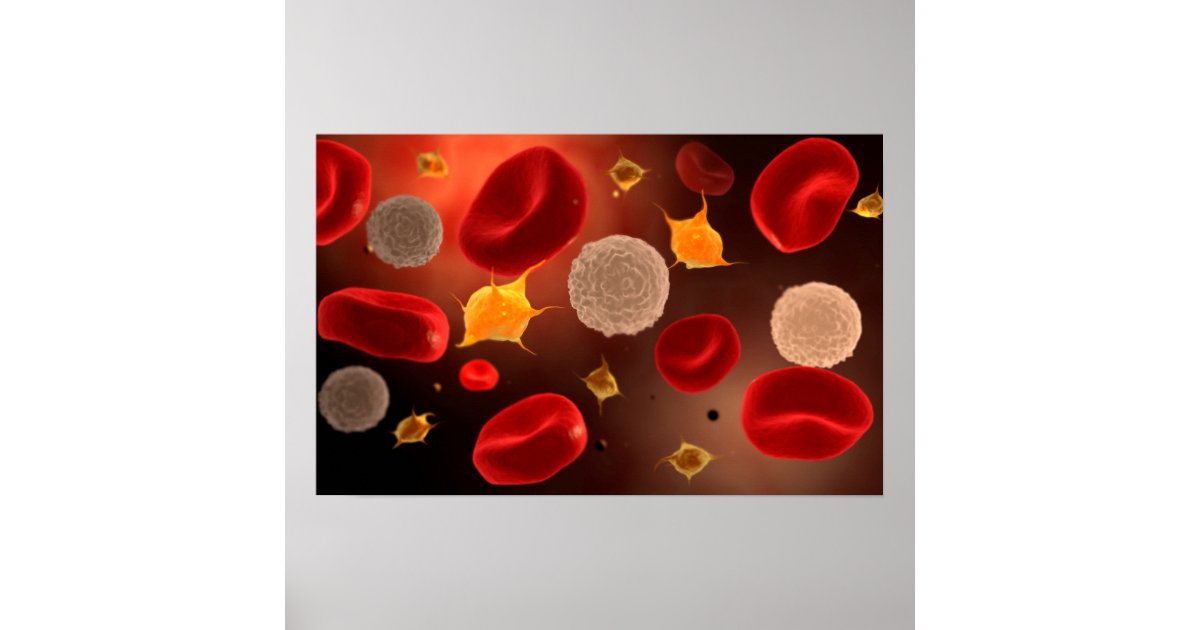 Platelets With Red Blood Cells 2 Poster | Zazzle