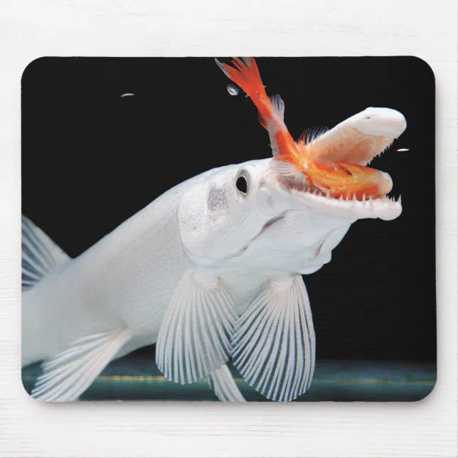 Platinum Alligator Gar Pike Mouse Pad | Zazzle