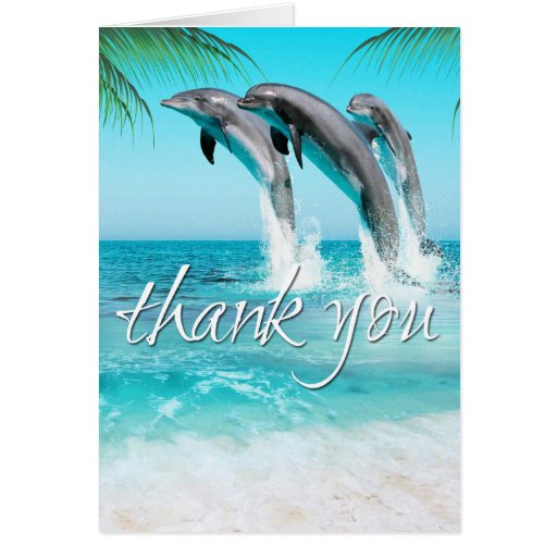 PLAYFUL DOLPHINS TROPICAL OCEAN Thank You Card | Zazzle