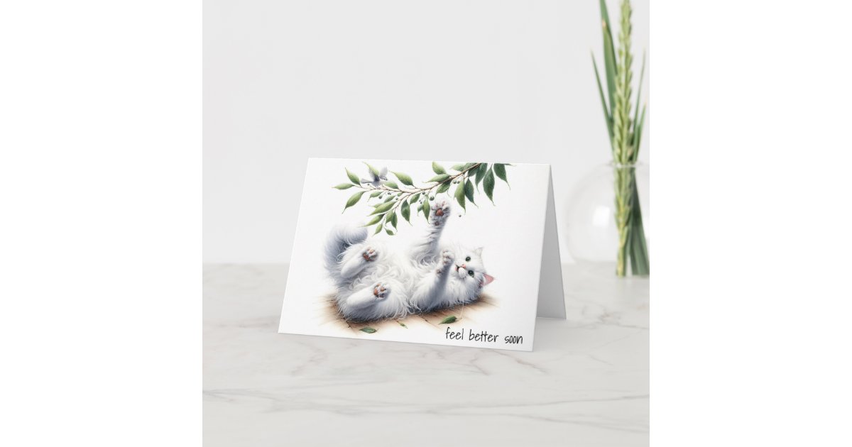 Playful White Cat Get Well Card | Zazzle