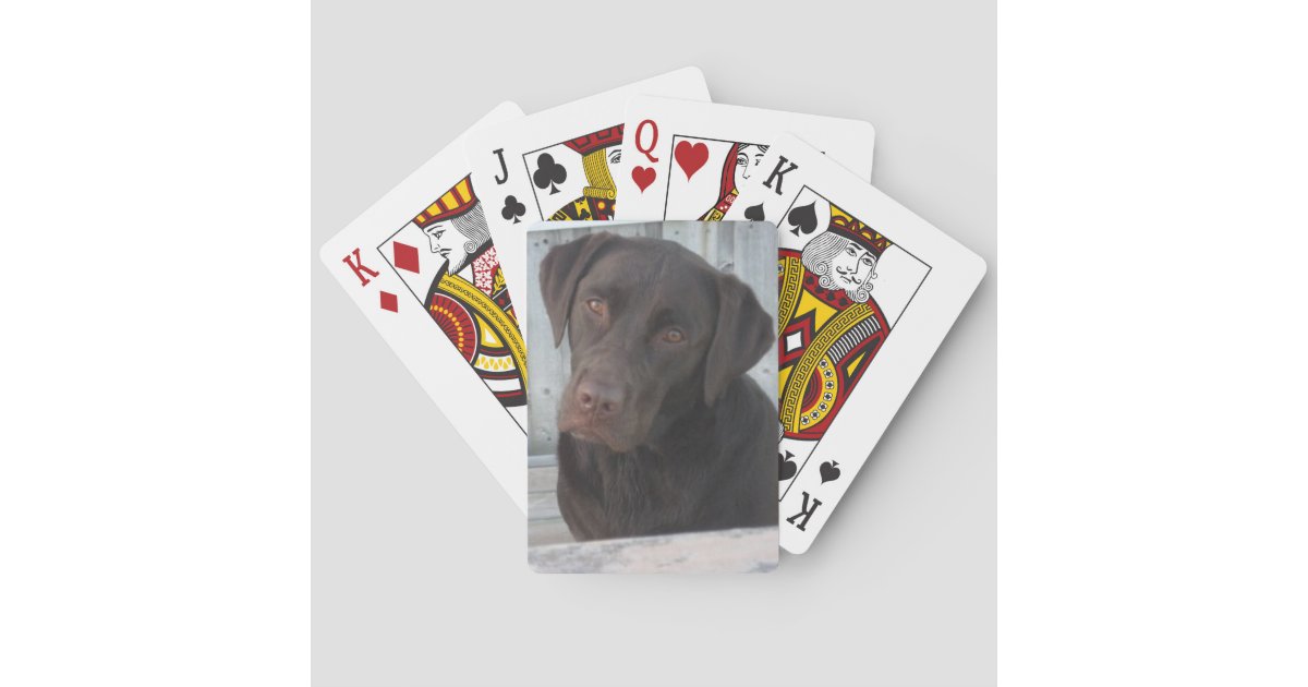 Playing Cards - Chocolate Lab | Zazzle