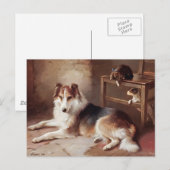 Playmates - Dog Kitten - Puppy Postcard | Zazzle