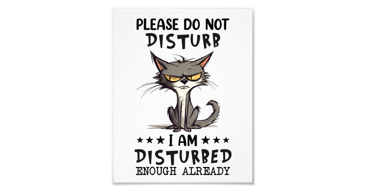 Please Do Not Disturb Cat Sarcasm Funny Photo Print | Zazzle