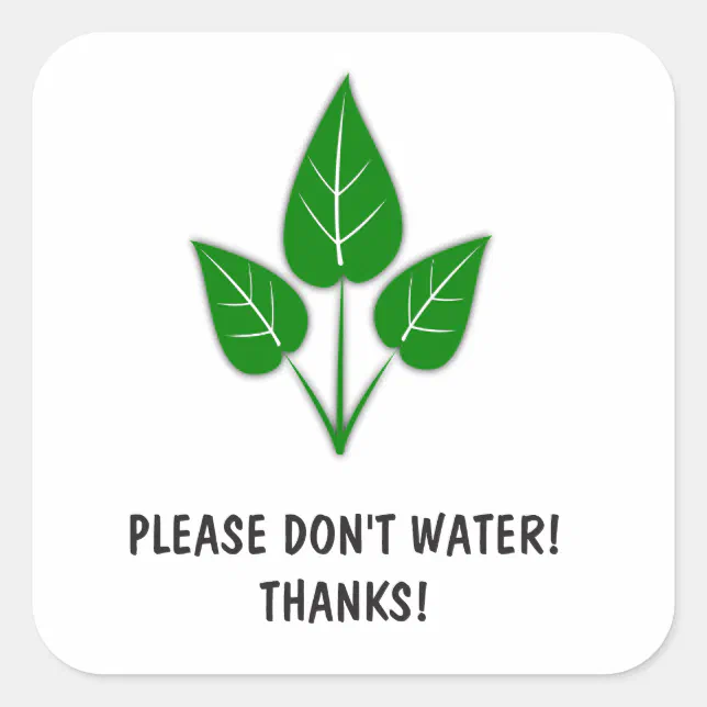 Please Don't Water Stickers - Plants | Zazzle