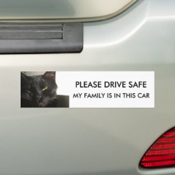 PLEASE DRIVE SAFE , MY FAMILY IS IN THIS CAR BUMPER STICKER | Zazzle
