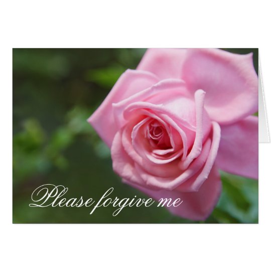 Please forgive me apology card with pink rose | Zazzle.com