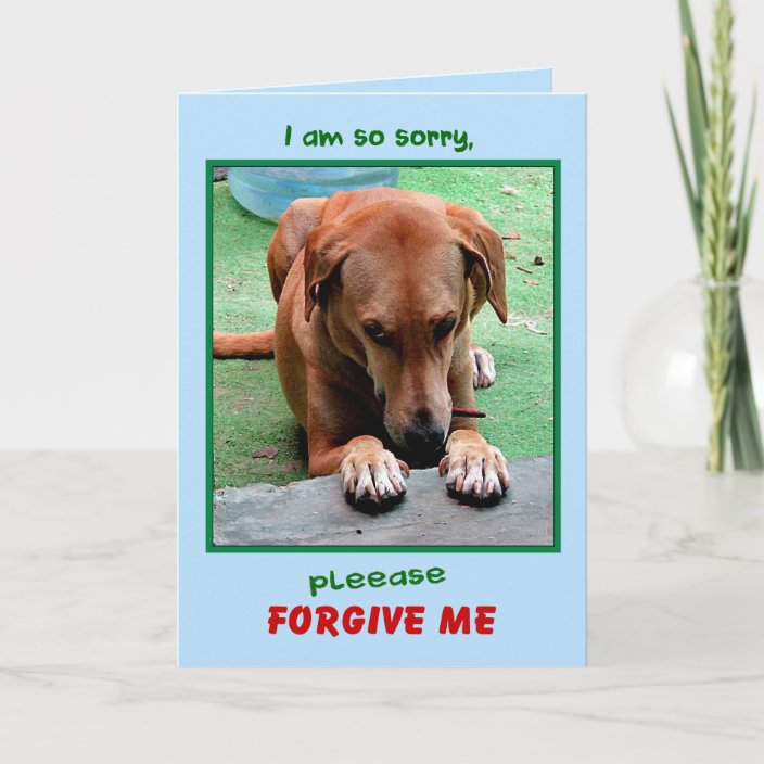 "Please Forgive Me" greeting card | Zazzle.com