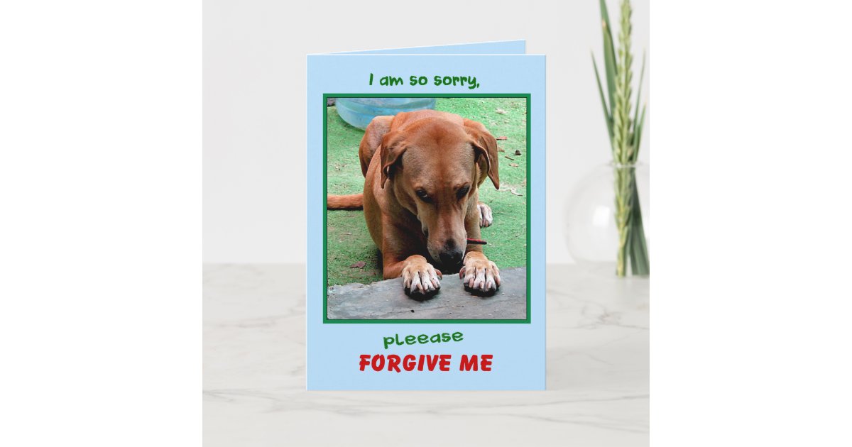 "Please Forgive Me" greeting card | Zazzle