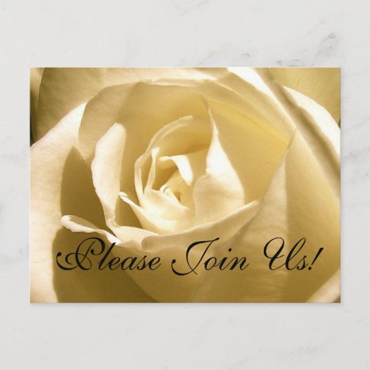 Please Join Us! Invitation Postcard Cream Rose | Zazzle.com