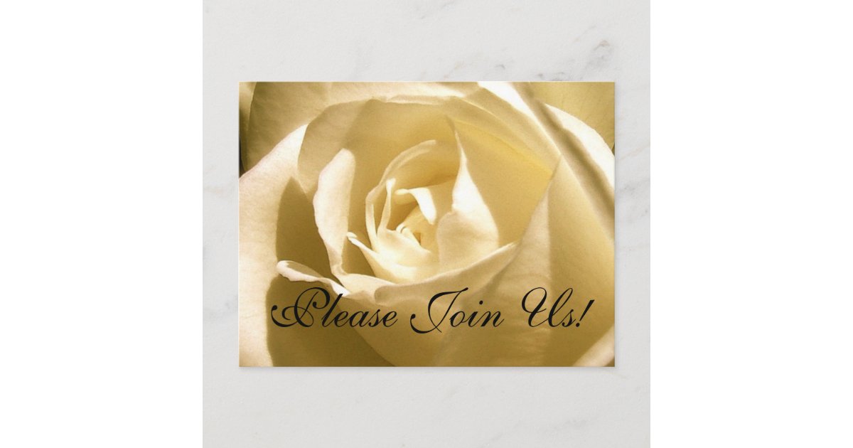 Please Join Us! Invitation Postcard Cream Rose | Zazzle