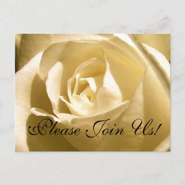 Please Join Us! Invitation Postcard Cream Rose | Zazzle