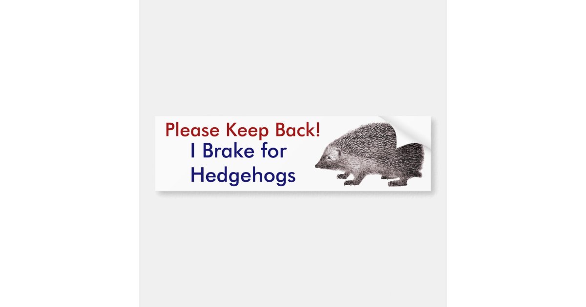 Please Keep Back -- I Brake for Hedgehogs Bumper Sticker | Zazzle