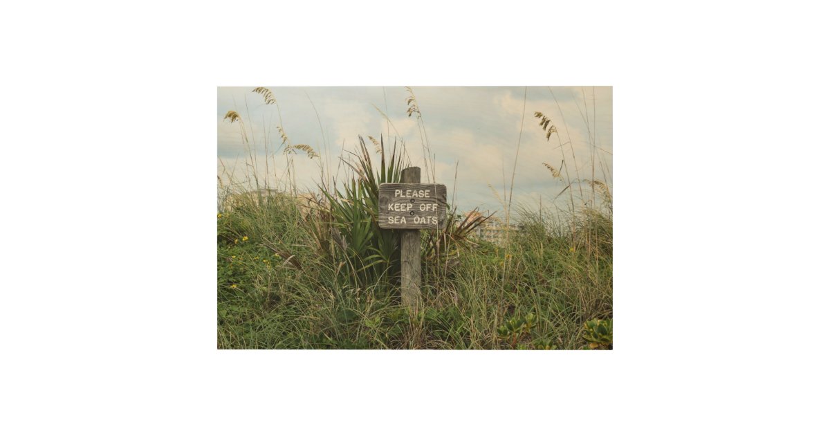 Please Keep Off Sea Oats Rustic Beach Sign | Zazzle