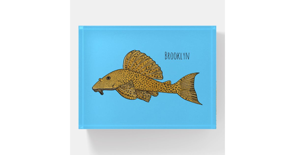 Pleco fish cartoon illustration paperweight | Zazzle