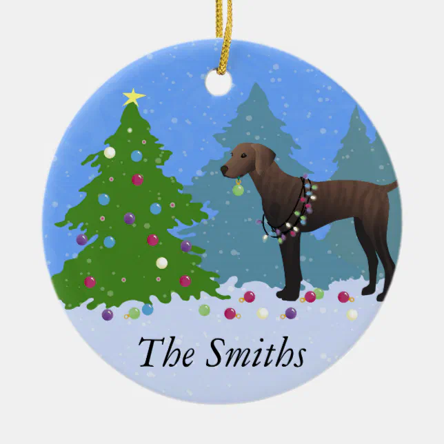Plott Hound Decorating Tree in the Forest - Dark Ceramic Ornament | Zazzle