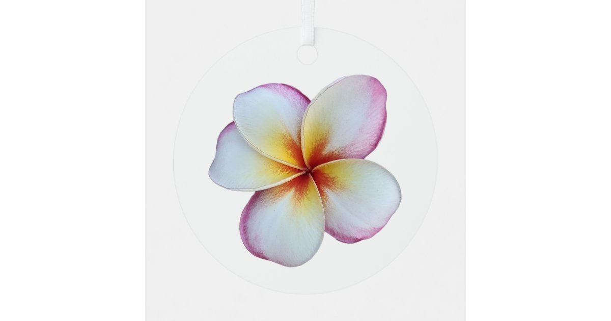 Plumeria Bloom Metal Ornament | Zazzle