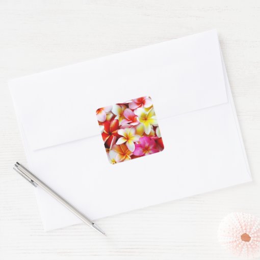Plumeria Frangipani Hawaii Flower Customized Square Sticker | Zazzle
