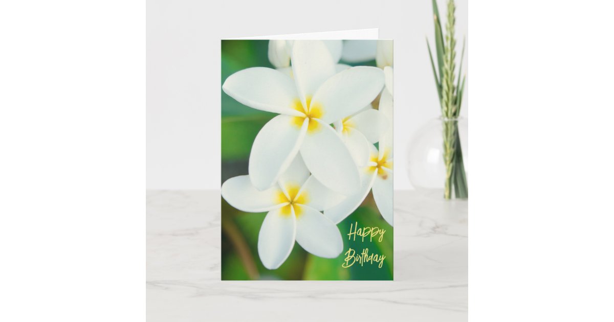 Plumeria Happy Birthday Card | Zazzle