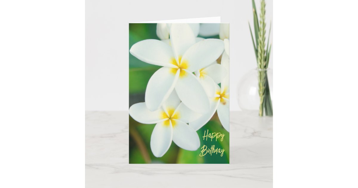 Plumeria Happy Birthday Card | Zazzle