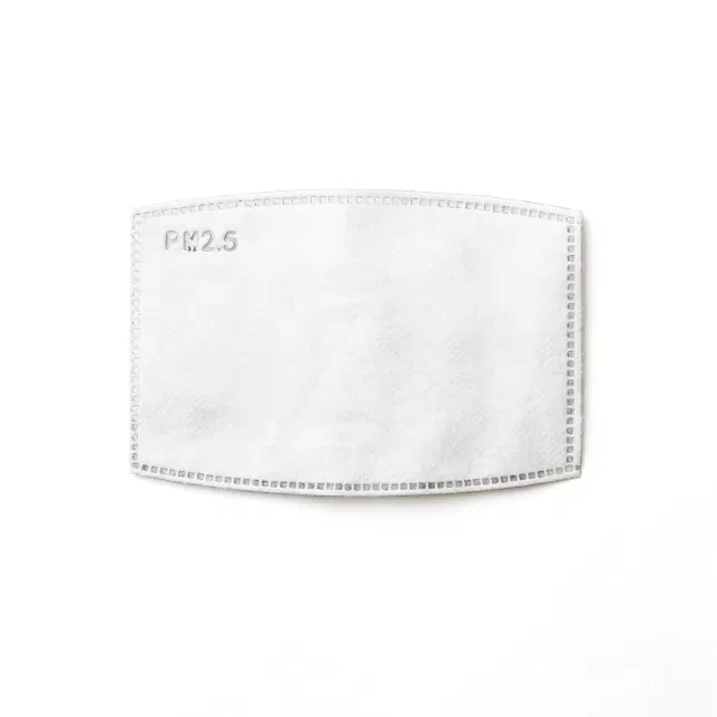 PM 2.5 Face Mask Filters | Zazzle