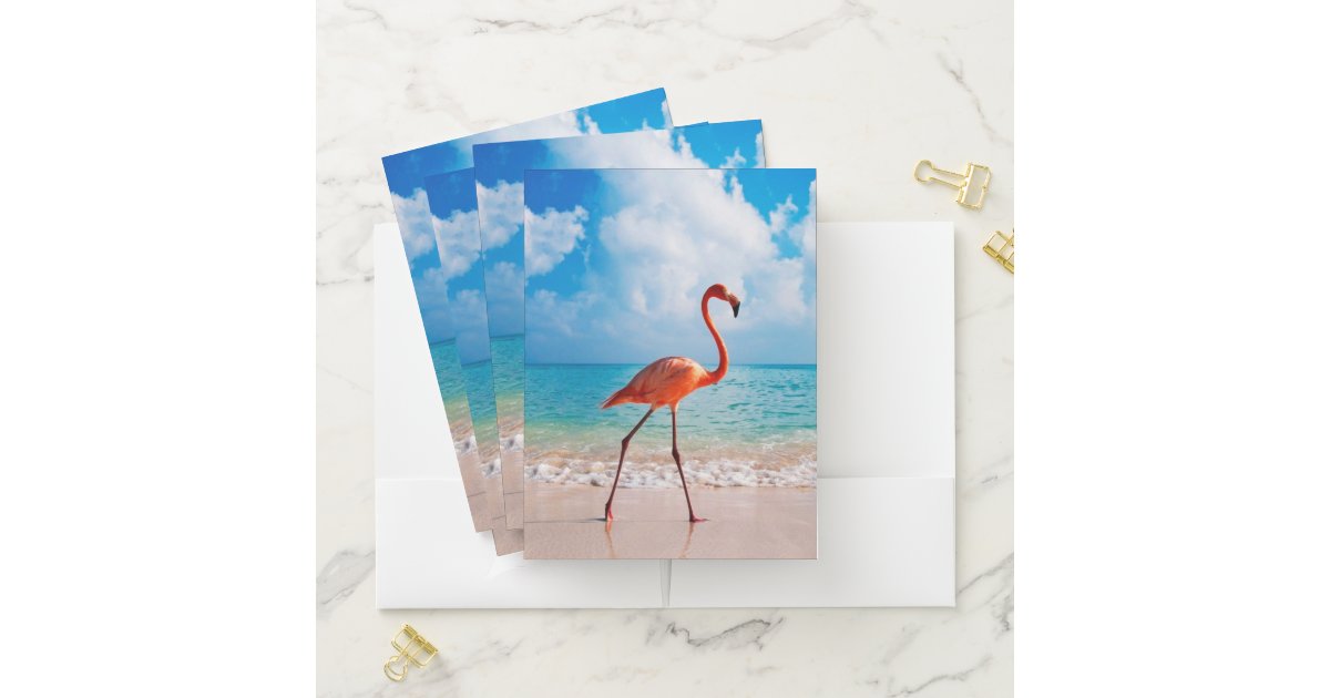 Pocket Folder-Flamingo Pocket Folder | Zazzle