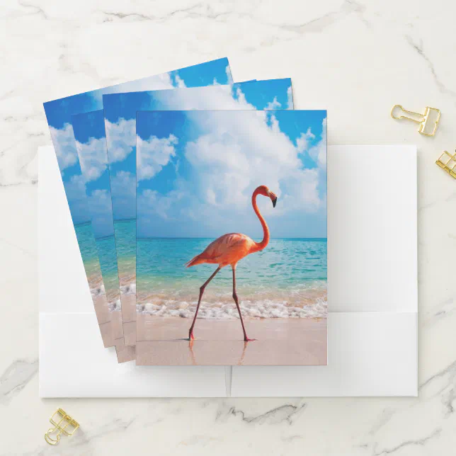 Pocket Folder-Flamingo Pocket Folder | Zazzle