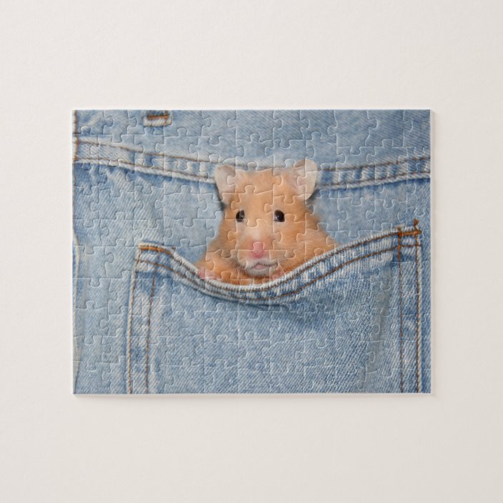 Pocket hamster jigsaw puzzle | Zazzle.com