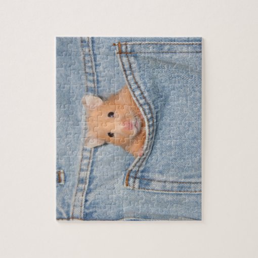 Pocket hamster jigsaw puzzle | Zazzle