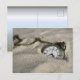 Pocket Watch - The Sands of Time Postcard | Zazzle