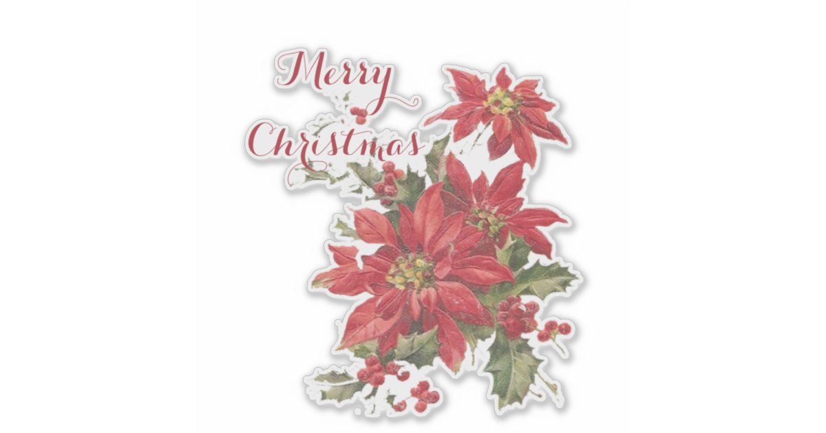 Poinsettia and holly sticker | Zazzle