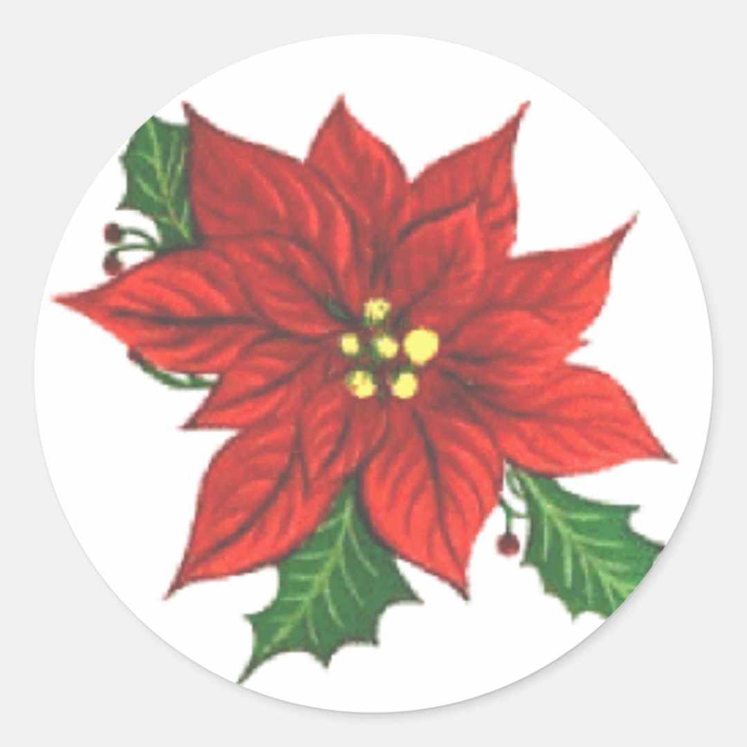 Poinsettia Greeting Card Sticker | Zazzle