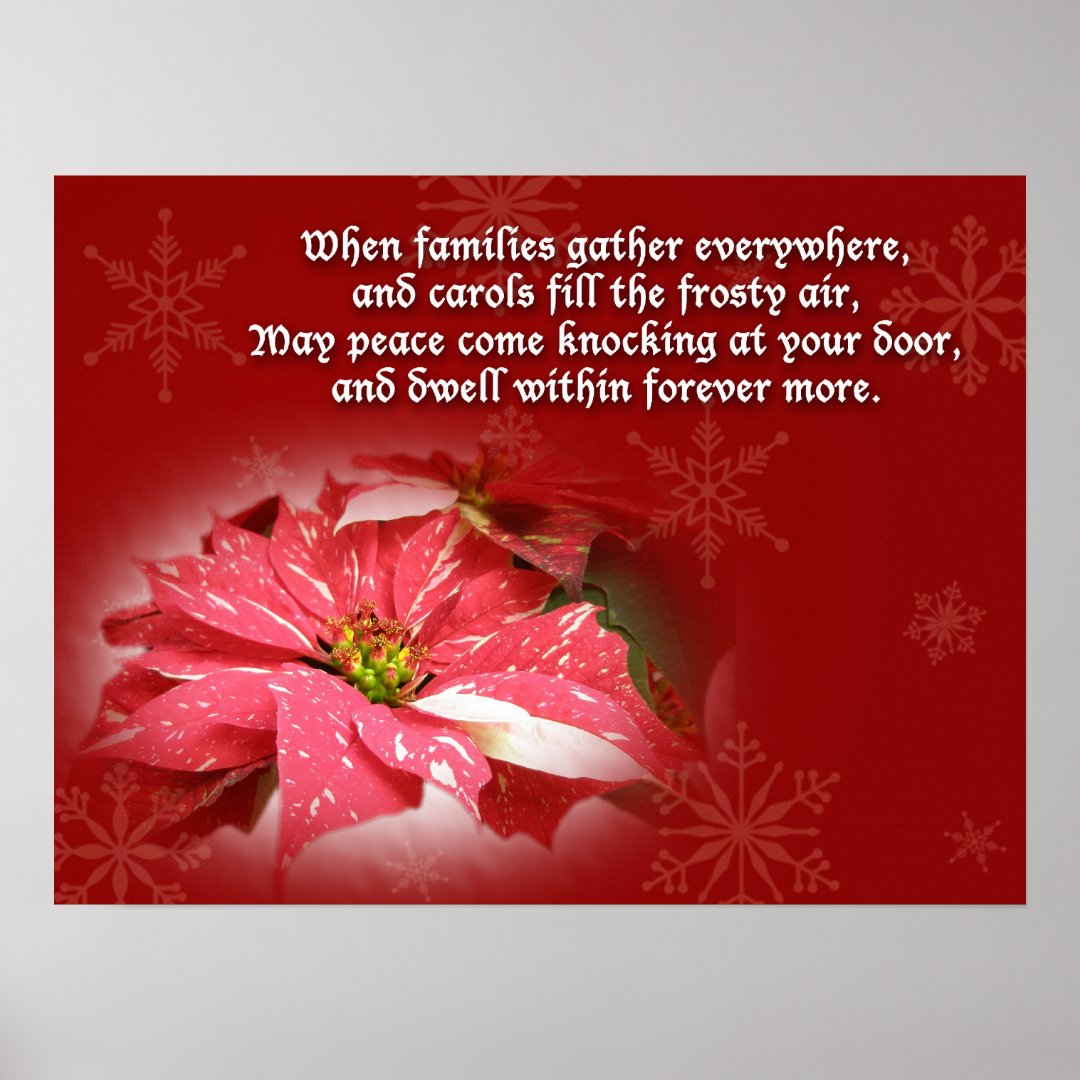 Poinsettia on Red With Poem Poster | Zazzle