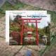 Point Defiance Park Japanese Garden Travel Photo Postcard | Zazzle