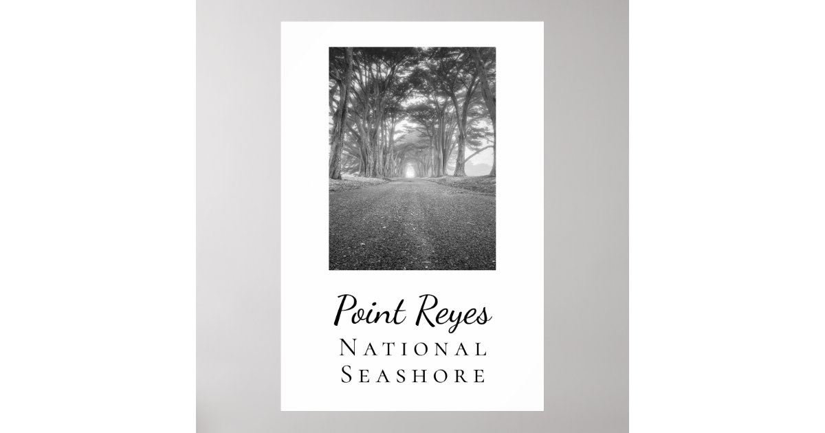 Point Reyes Poster | Zazzle