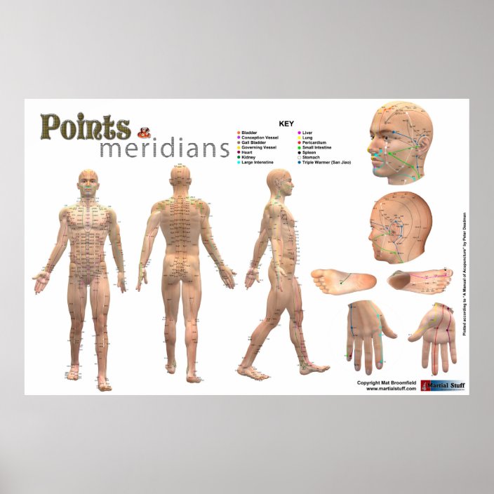 Points and meridians of the body - Annotated Poster | Zazzle.com