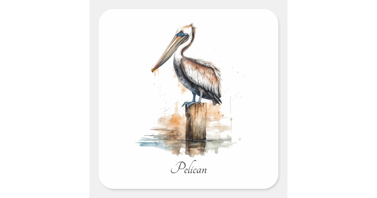 Poise of the Pelican Square Sticker | Zazzle