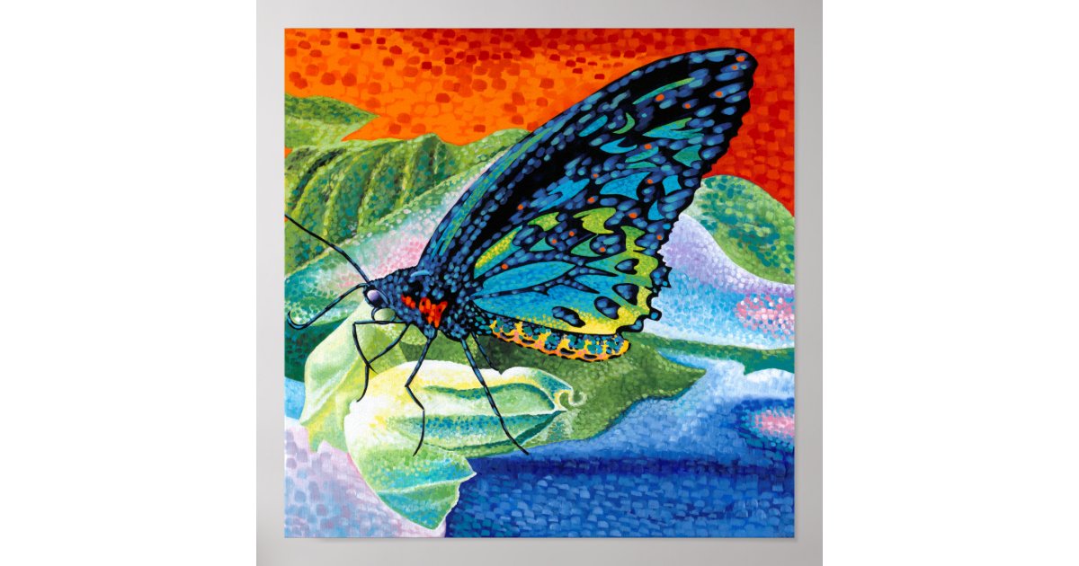 Poised Butterfly II Poster | Zazzle