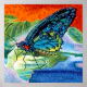 Poised Butterfly II Poster | Zazzle