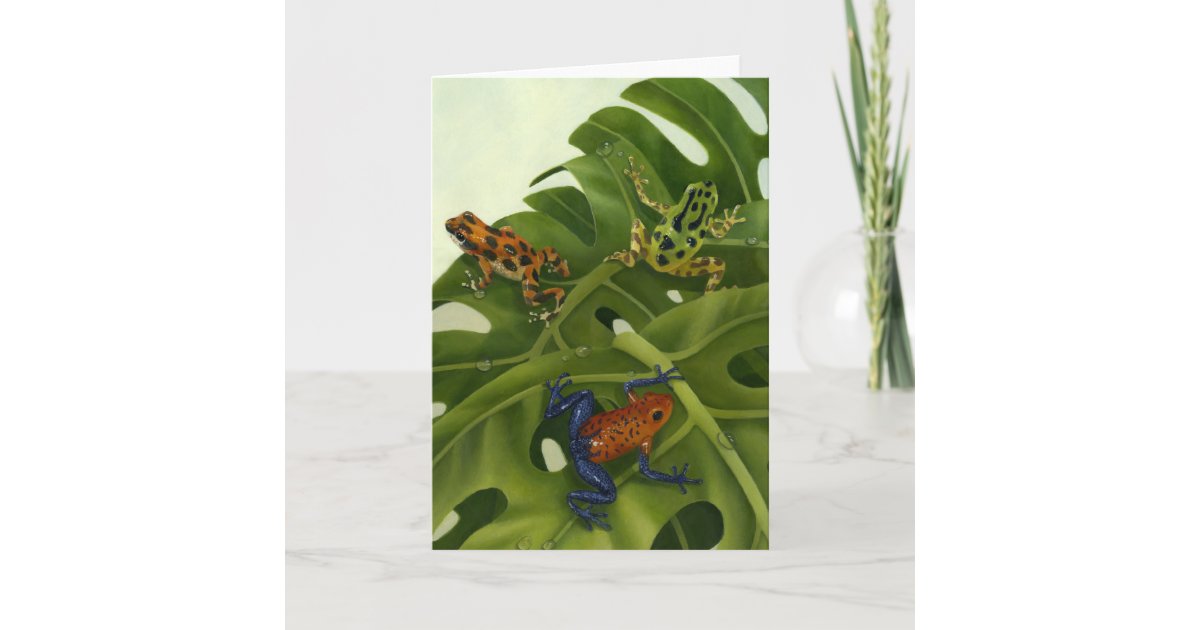 Poison Arrow Frogs Card | Zazzle