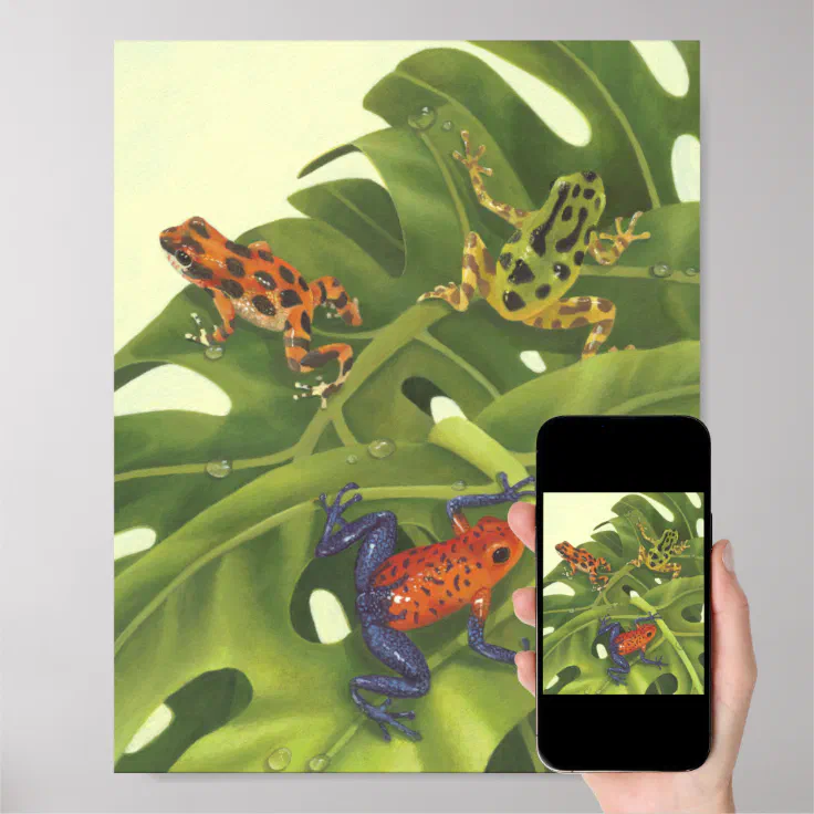 Poison Dart Frogs Poster | Zazzle